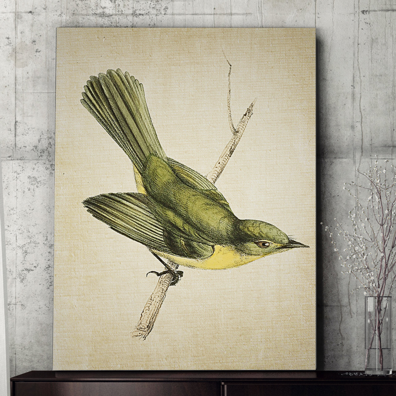 August Grove 'Aviary Plate II' Graphic Art Print on Wrapped Canvas ...