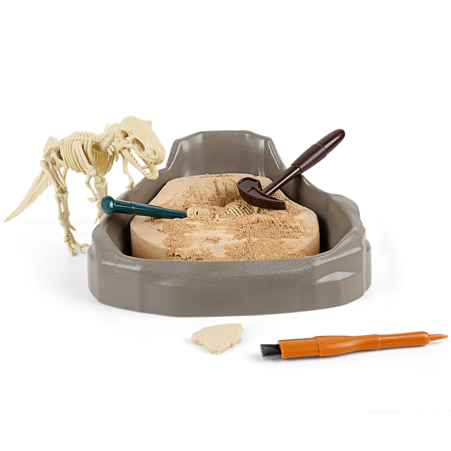 Hape: Science Can: Tyrannosaurus Rex Dinosaur Fossil Dig Kit- Excavate ...