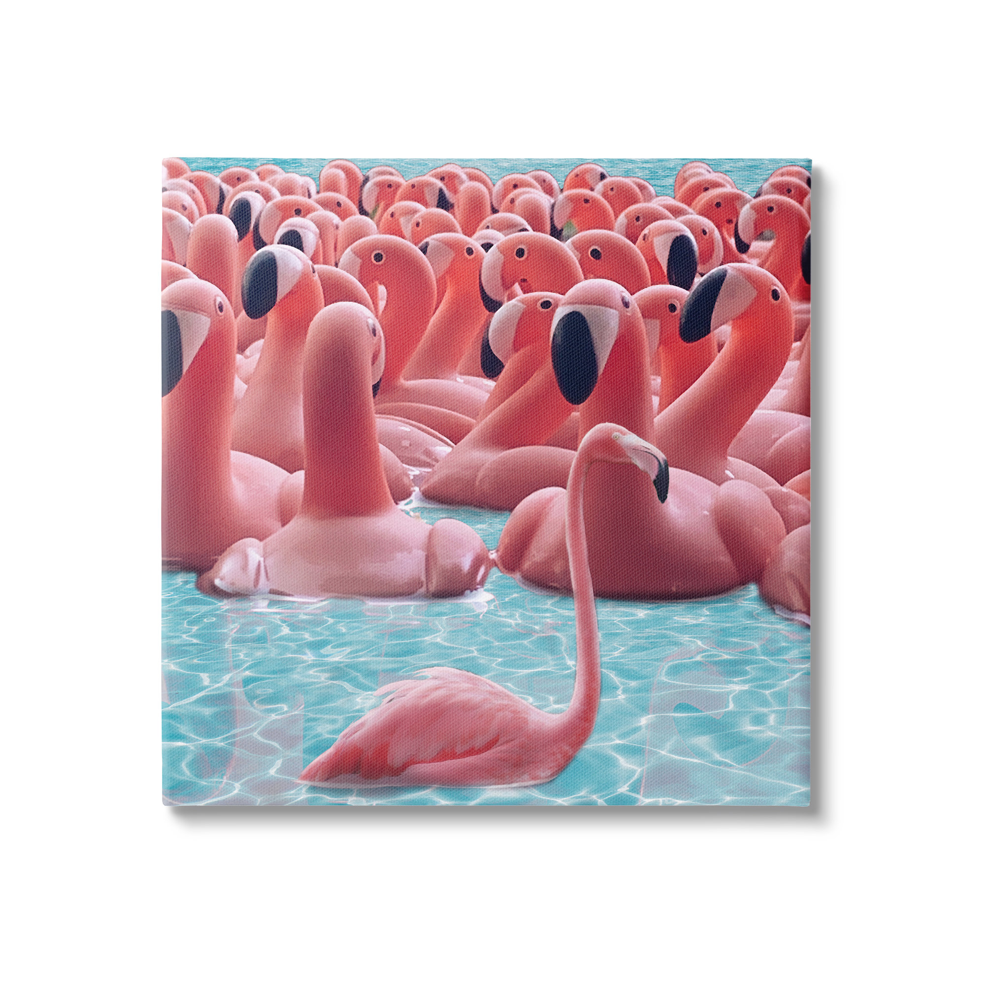 Bay Isle Home™ Fun Flamingo Pool Toys Canvas Wall Art by Ziwei Li ...