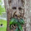 Design Toscano Faces In The Trees Tree Face Wall Decor & Reviews | Wayfair