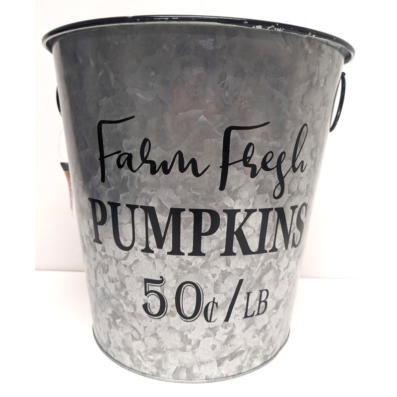 Gracie Oaks Galvanized Steel Bucket | Wayfair