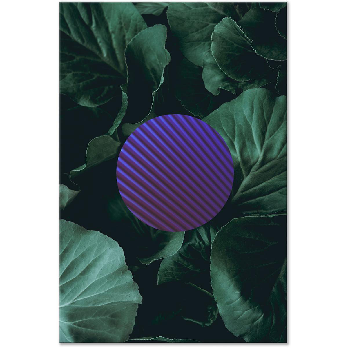 Ebern Designs 'Botanical Abstraction' - Wrapped Canvas Graphic Art ...