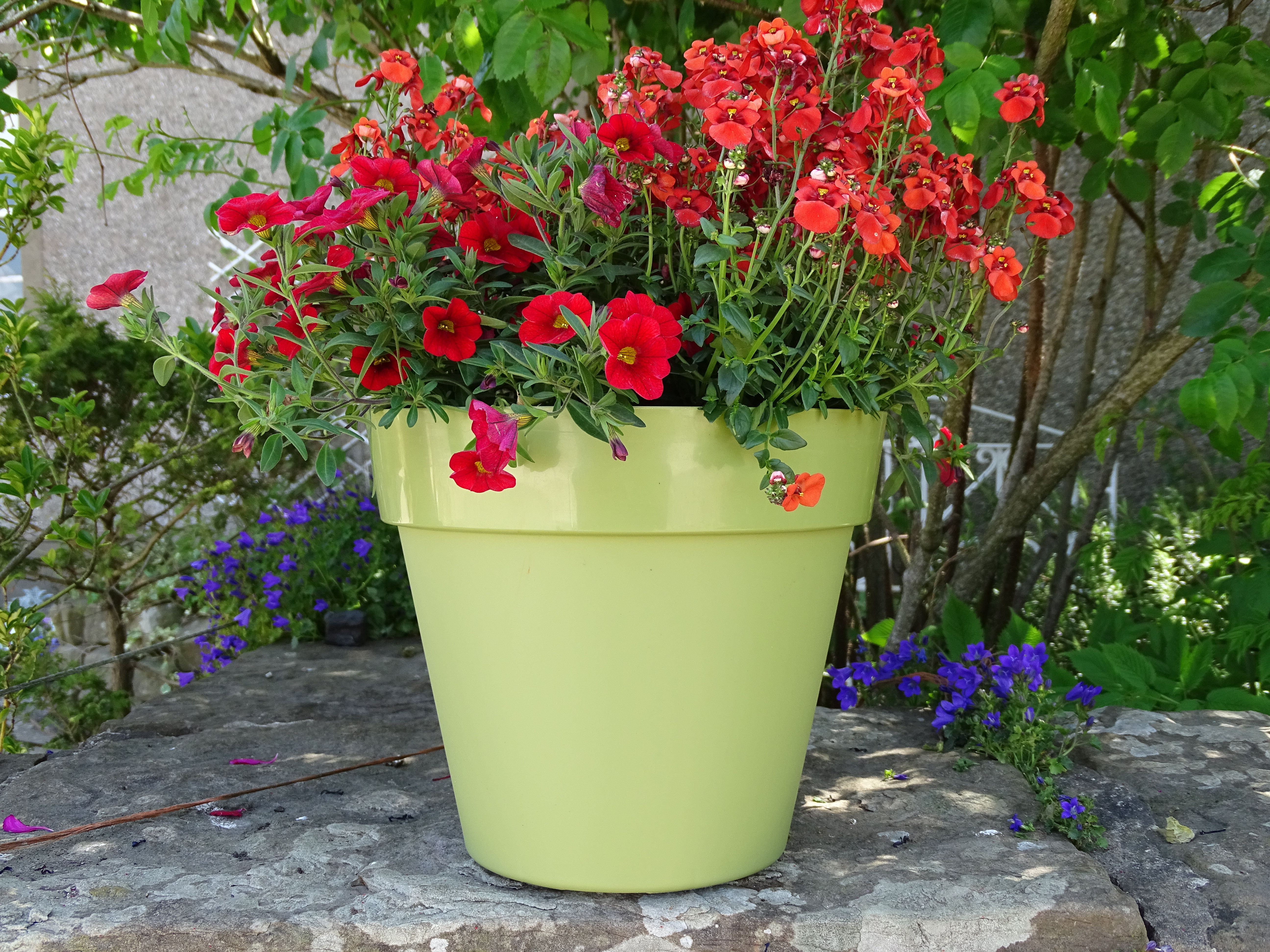 Freeport Park Bojorquez Plastic Plant Pot & Reviews | Wayfair.co.uk