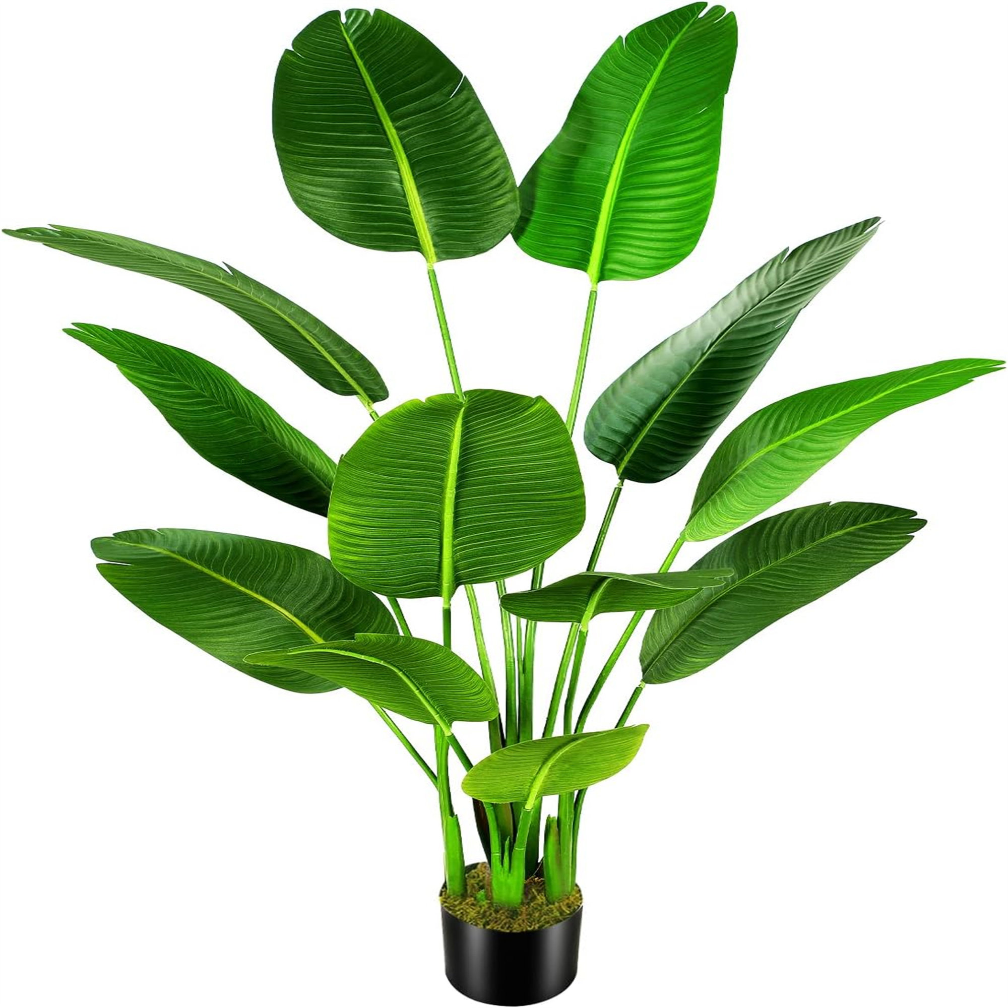 Dakota Fields 5.5 Feet Tall Simulated Bird of Paradise Palm Tree (65 ...