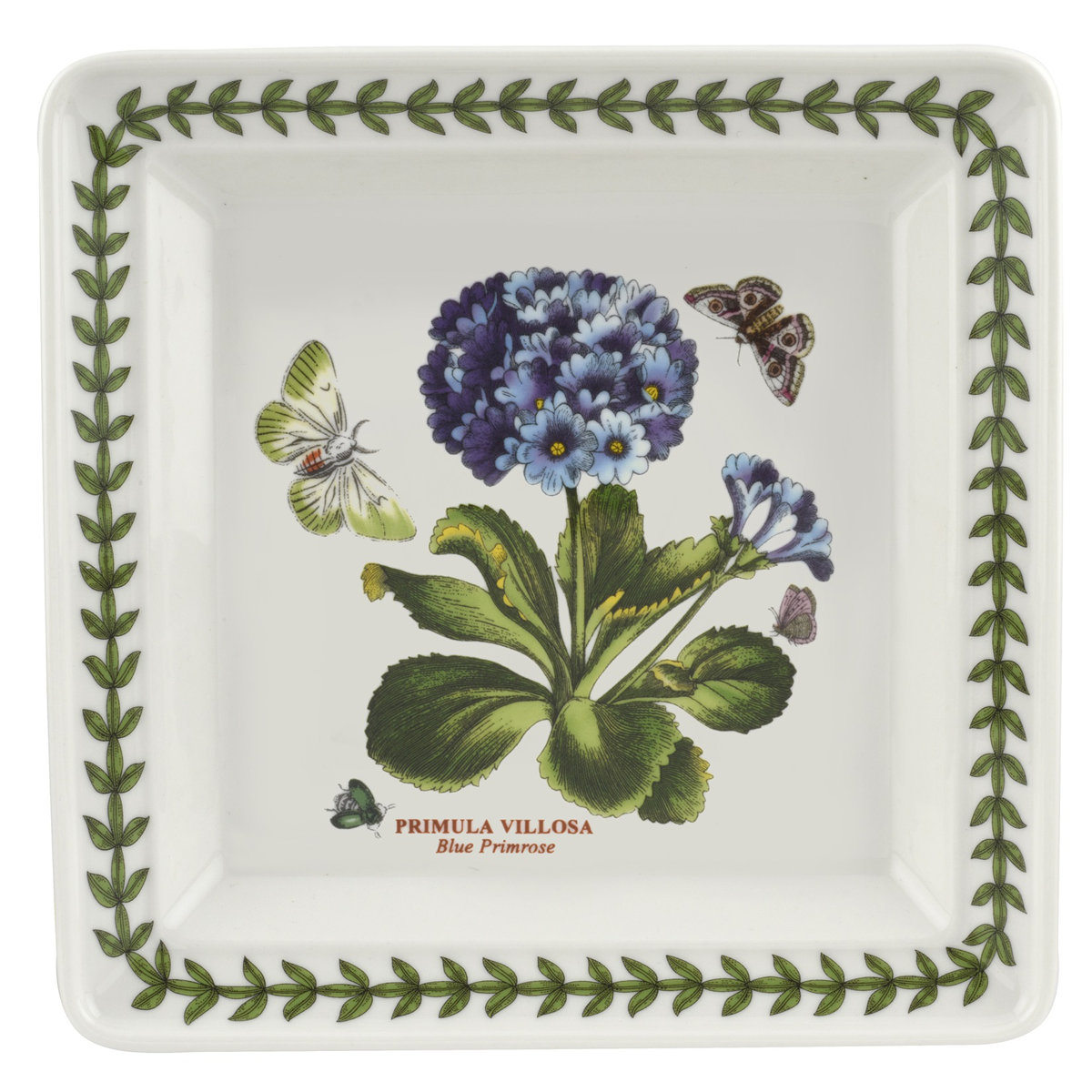 Portmeirion Botanic Garden Square Plate 7" & Reviews | Birch Lane