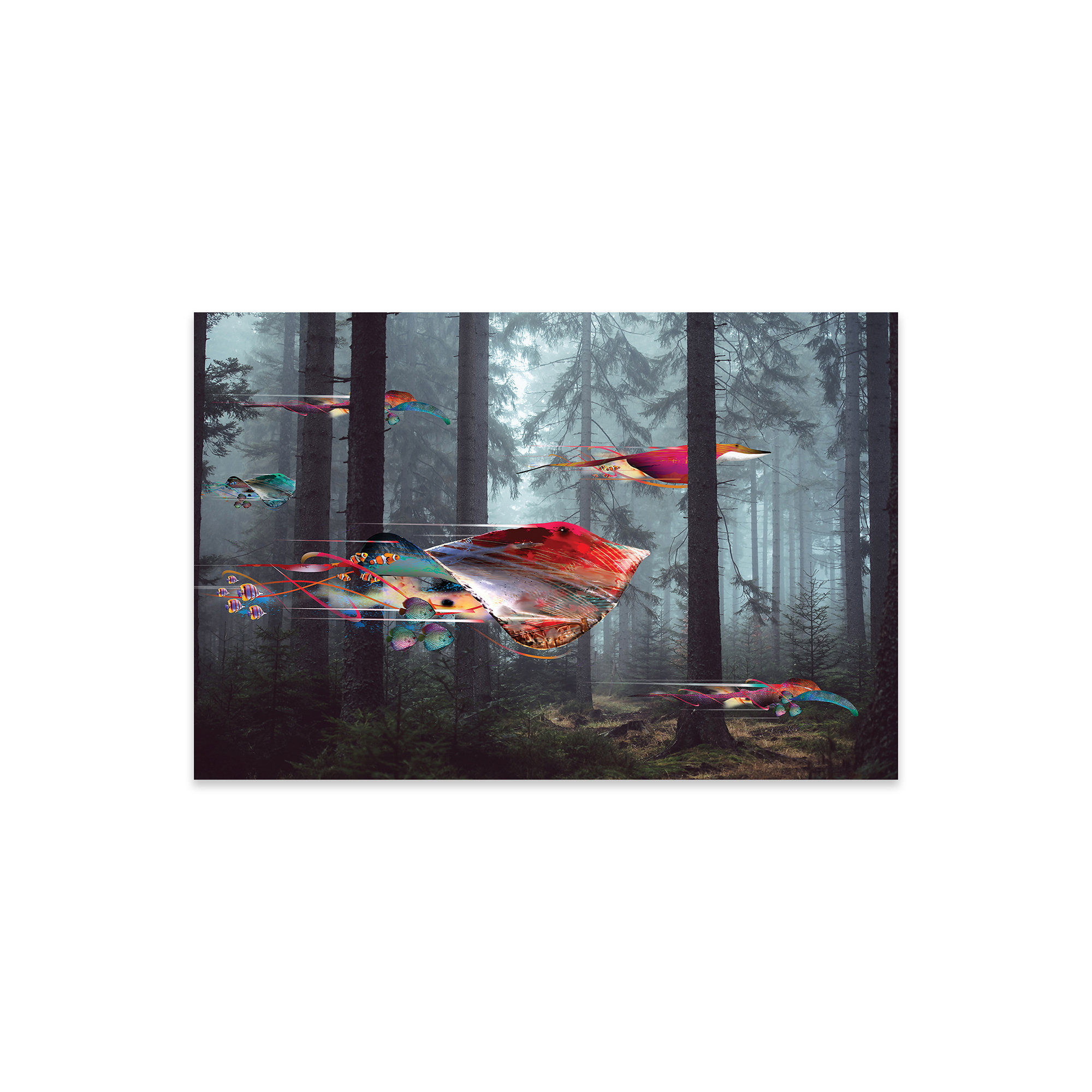 Millwood Pines Electric Stingray Forest On Plastic / Acrylic by David ...