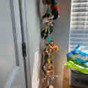 Dreambaby Toy Chain & Reviews | Wayfair