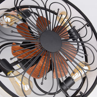 Indoor Ceiling Fans You'll Love