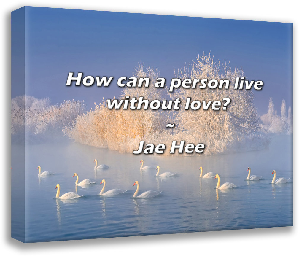 Alcott Hill Jae Hee Quote: How can a person live without love ...
