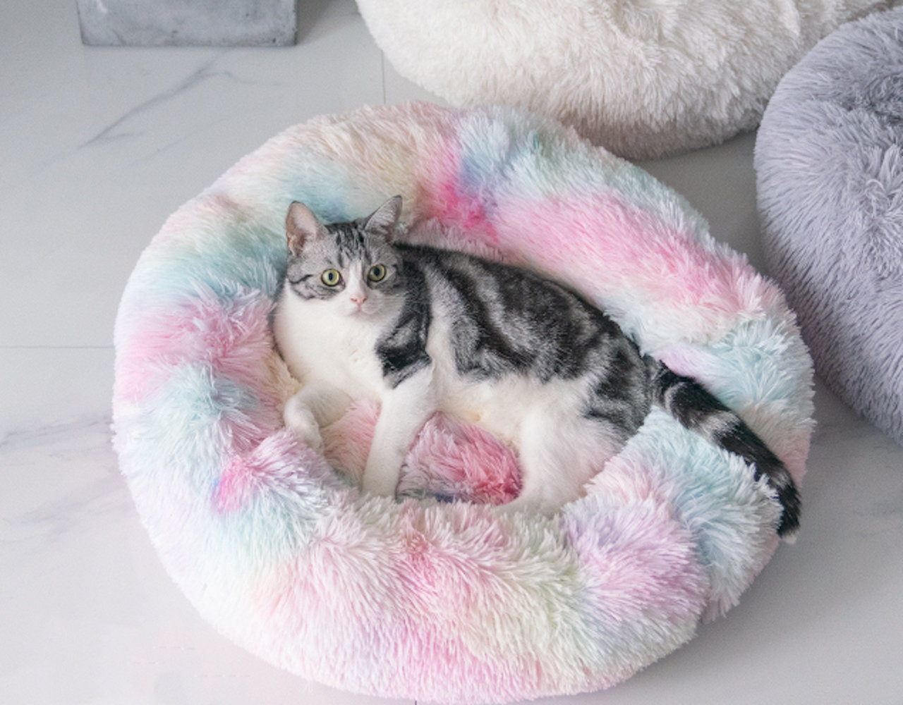 Tucker Murphy Pet™ Vinton Designer Round Unicorn Cat Bed & Reviews ...