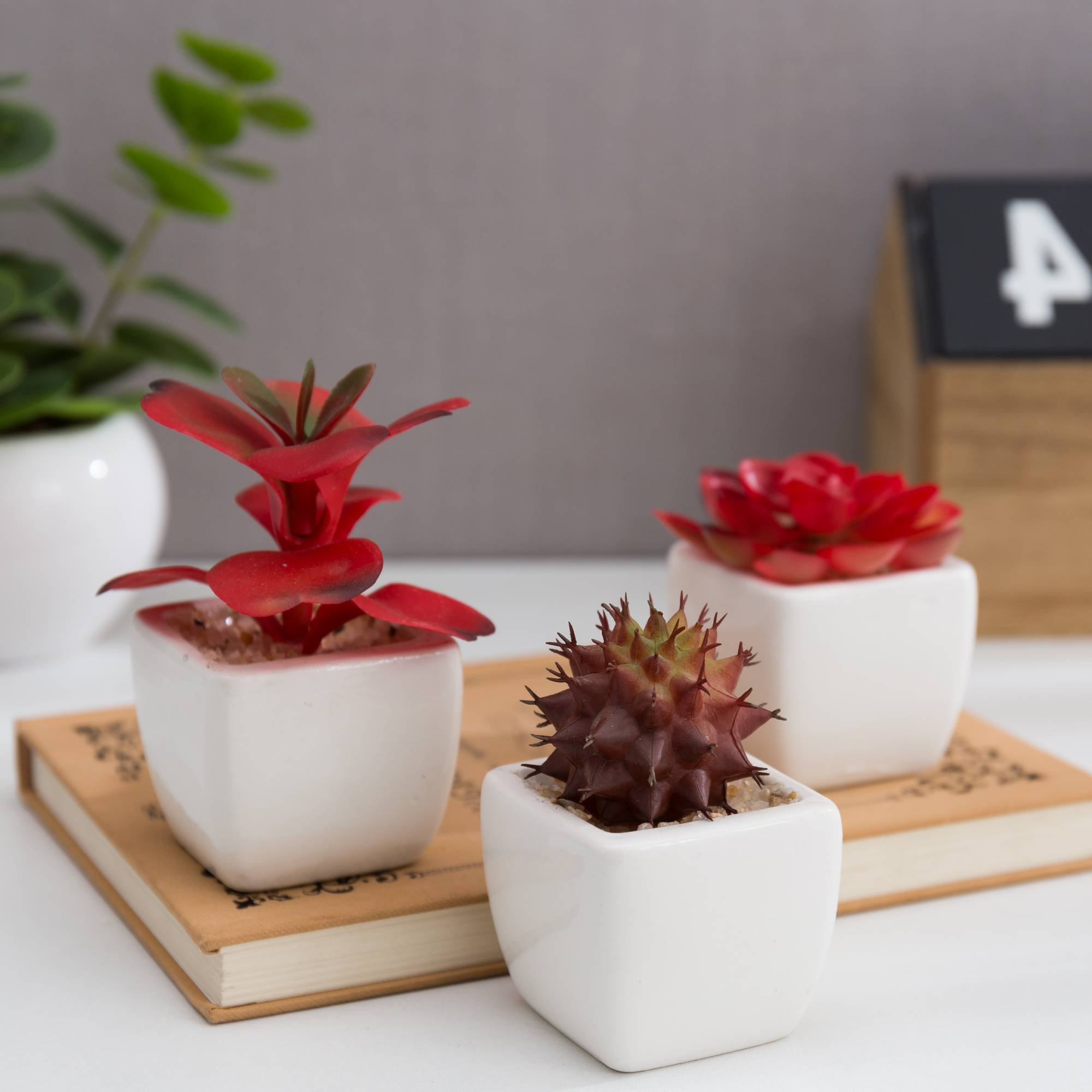 Primrue 3 Piece Red Mini Flowers With White Pot - Wayfair Canada