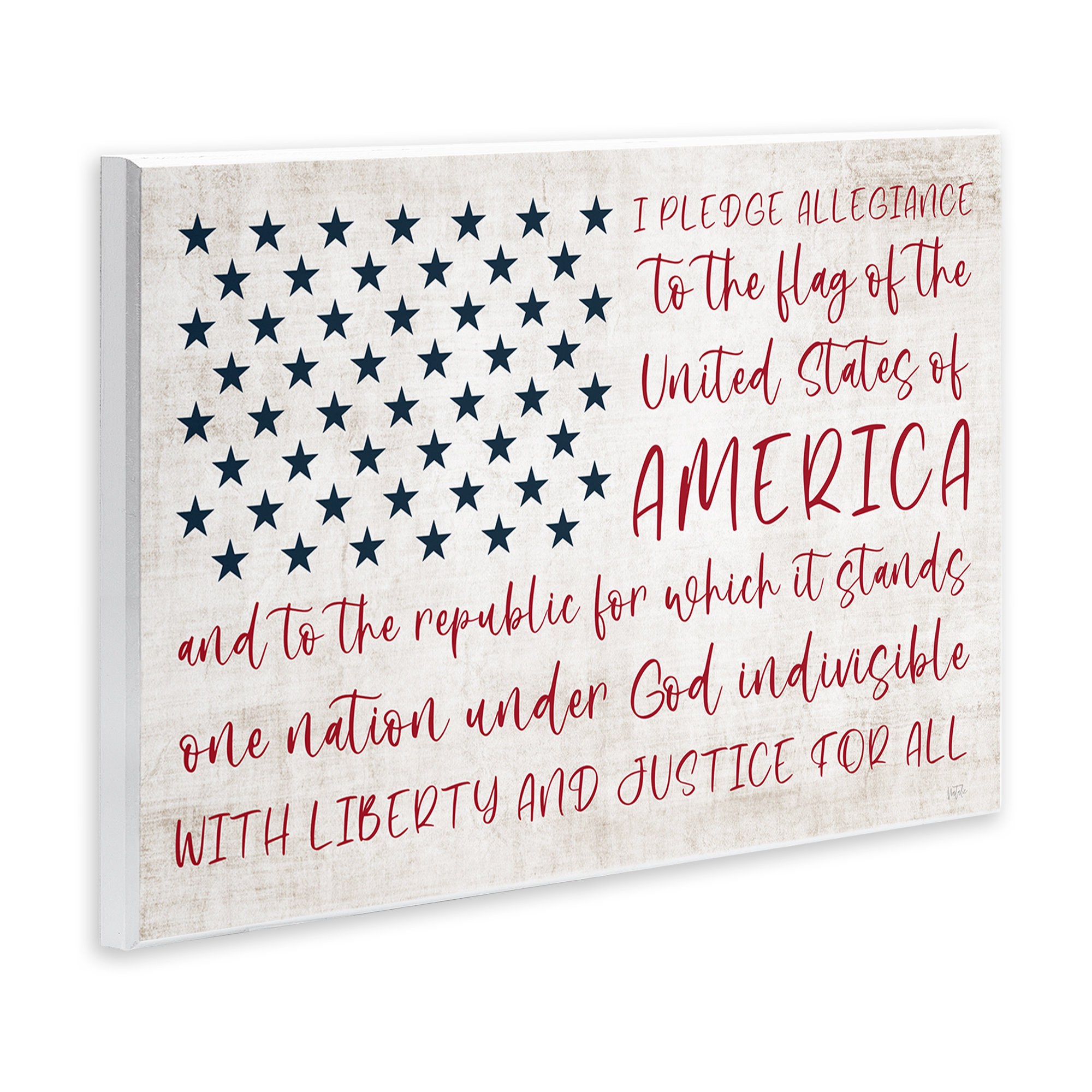 Ebern Designs Patriotic Pledge of Allegiance Wall Plaque Art by Natalie ...