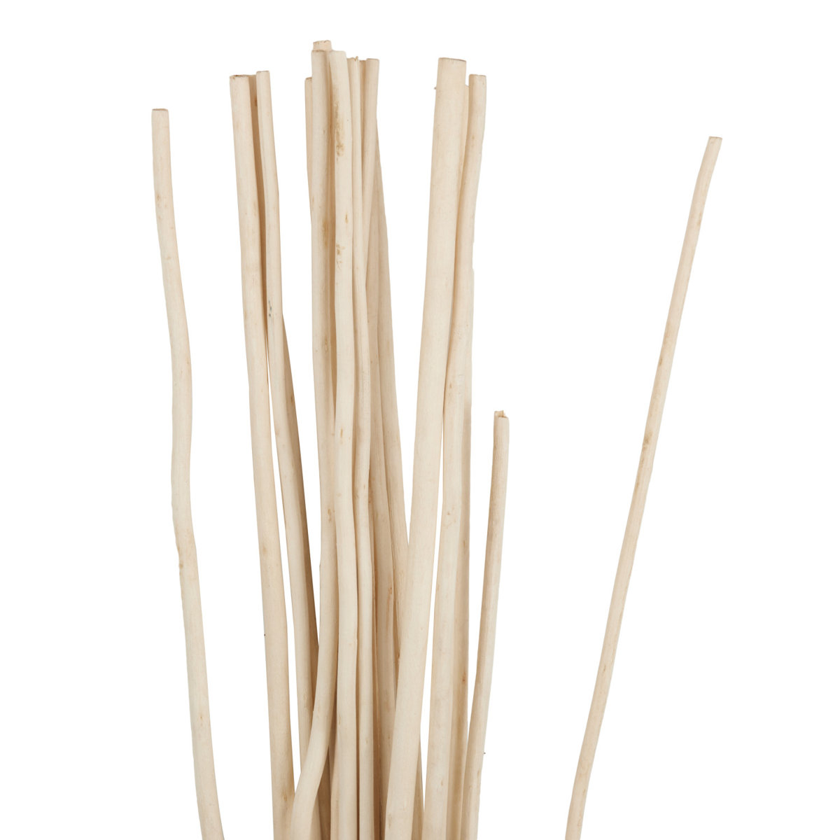 Primrue Cole And Grey Jute Rope Tall Sticks Natural Foliage | Wayfair