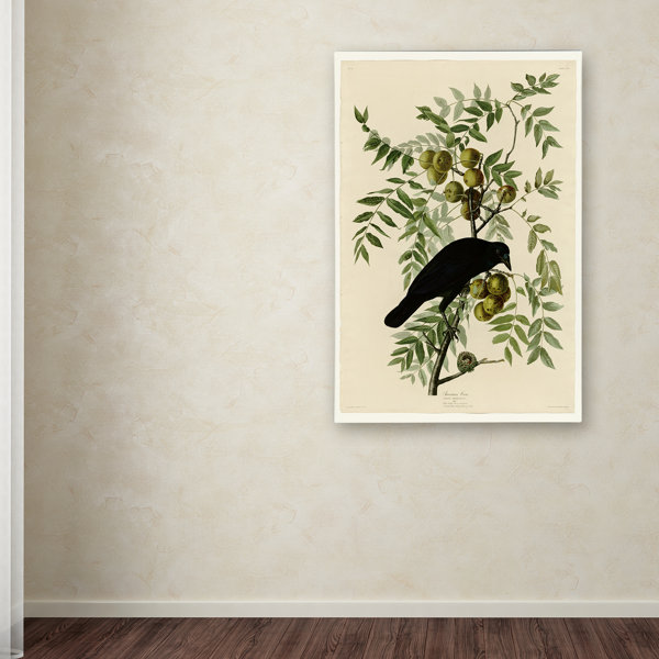 Trademark Art " American Crow " by James Audubon Painting Print ...
