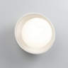 Wade Logan® Ceramic Flush Mounted Scone & Reviews | Wayfair
