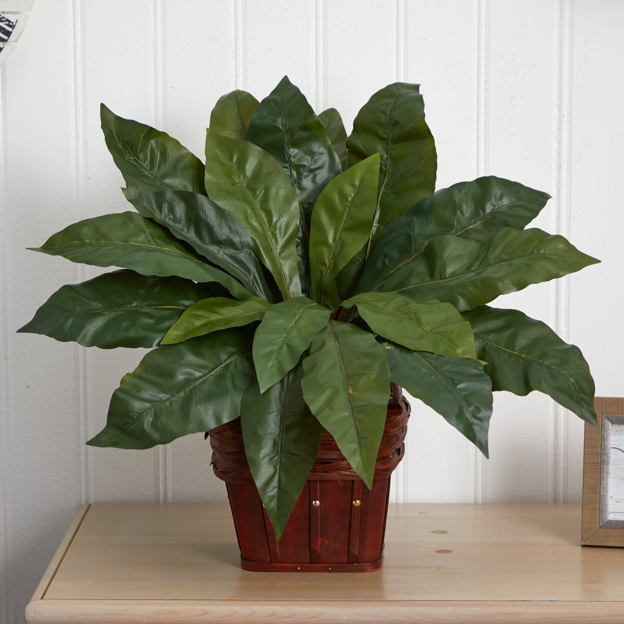 Primrue Silk Birdsnest Fern Desk Top Plant in Decorative Vase & Reviews ...