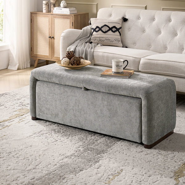 Ivy Bronx Delorise Modern 48.5”W Side-opening Storage Bench with Padded ...