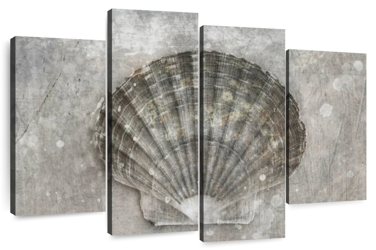Breakwater Bay Aletra BW Scallop Seashell | Wayfair