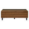 Millwood Pines Chansler Coffee Table Walnut Coffee Table Lift Top ...