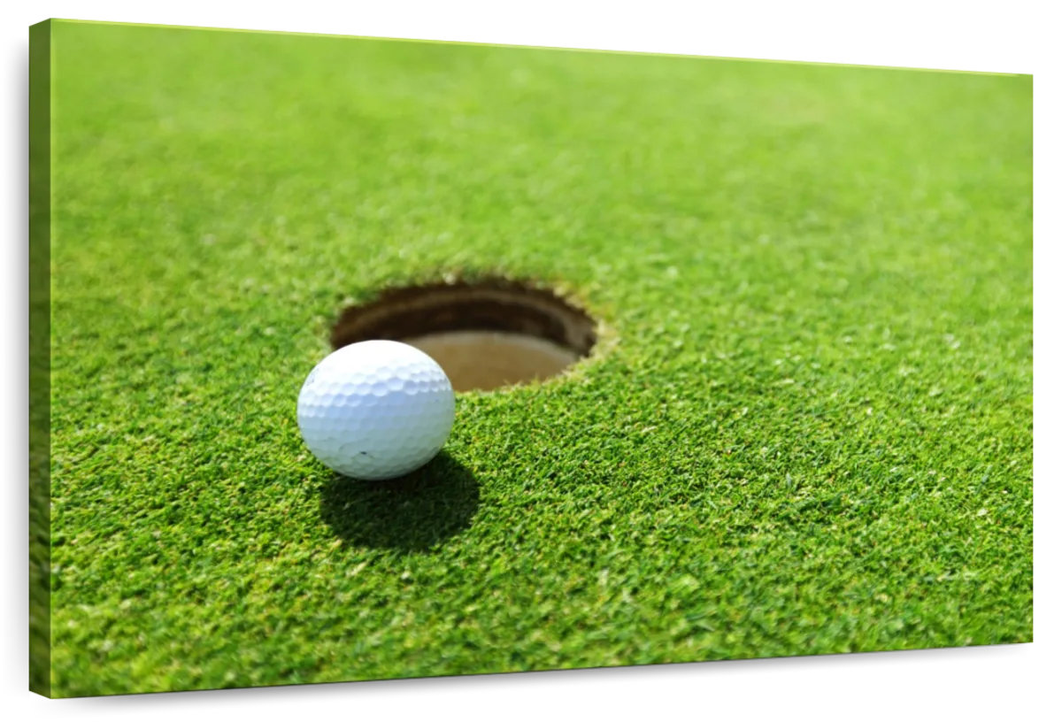 Ebern Designs Sireci Golf Missed Shot - Wayfair Canada