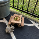 Union Rustic Whipe Rug & Reviews | Wayfair