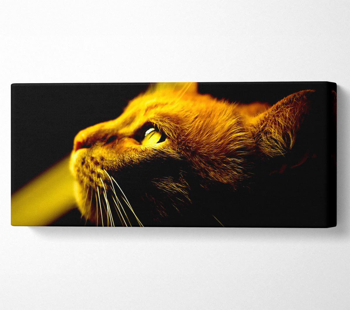 Ebern Designs Red Cat Profile - Wrapped Canvas Panoramic Art Prints ...