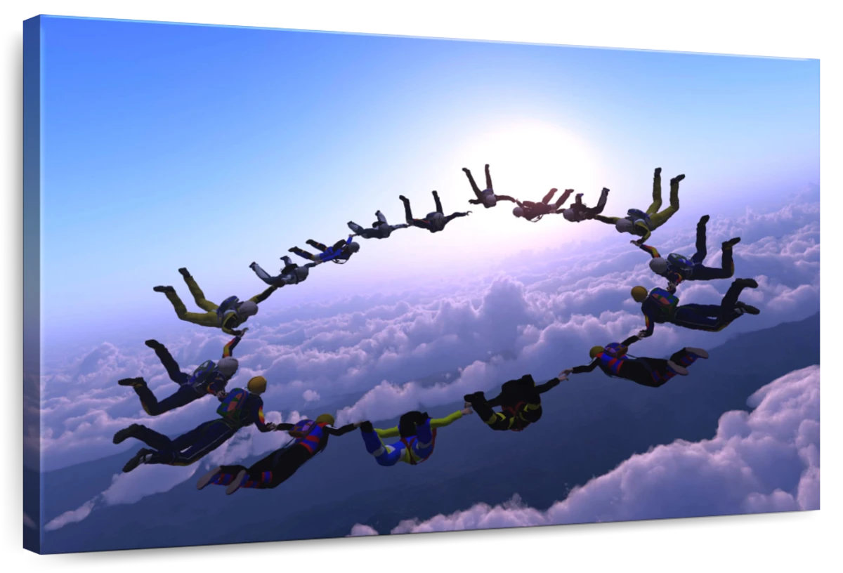 Elephant Stock Extreme Skydiving | Wayfair
