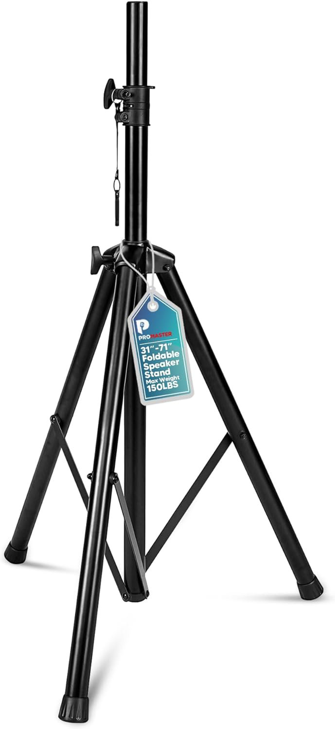 Promaster Amp Stand | Wayfair