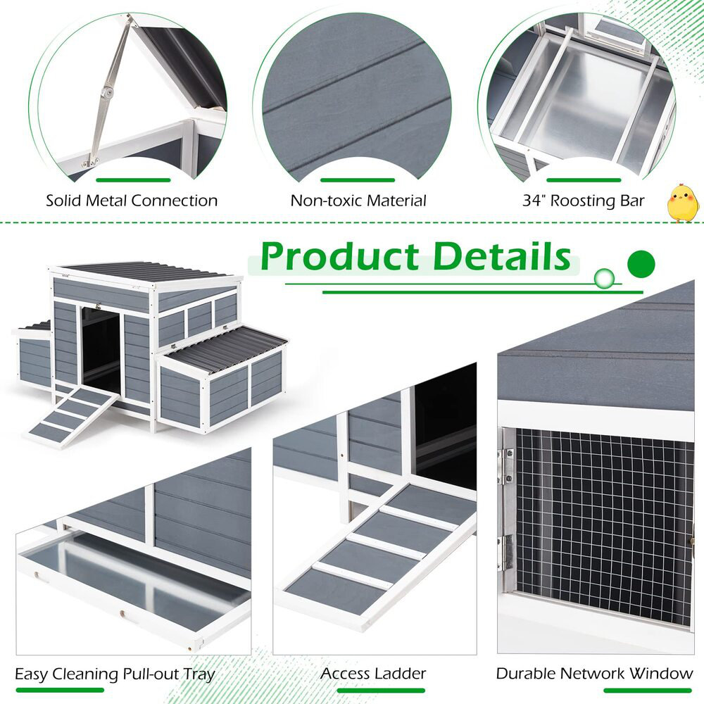 Tucker Murphy Pet™ Chicken Coop, 56" Large Wooden Chicken Hutch With 6 ...