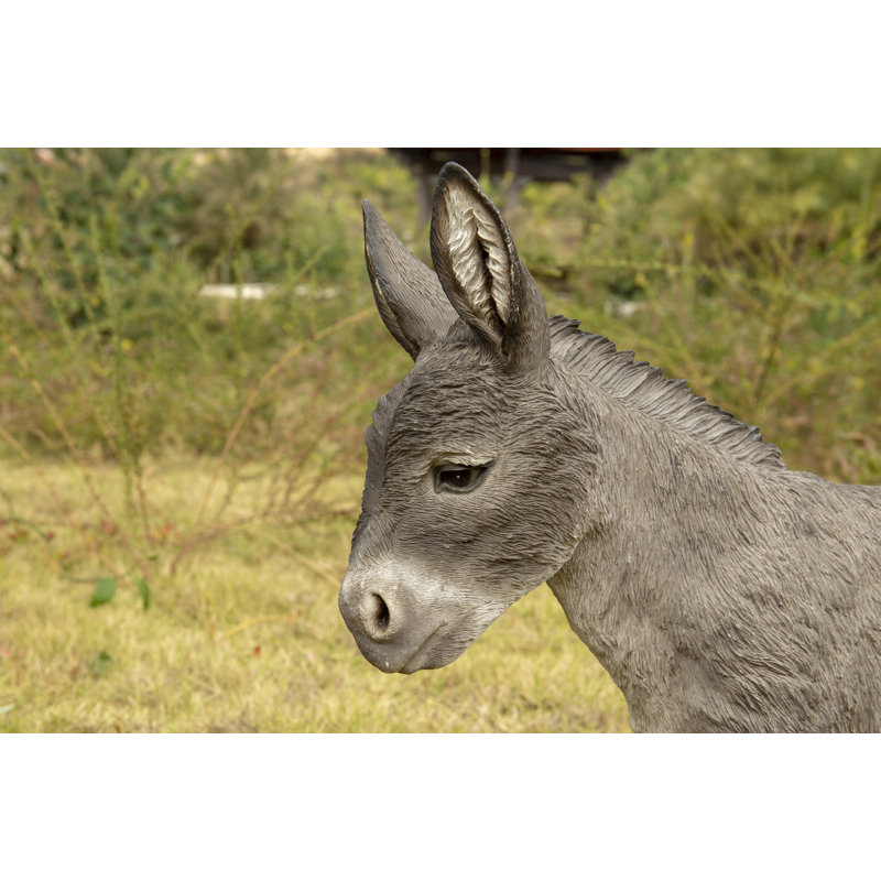 Hi-Line Gift Ltd. Standing Donkey Statue & Reviews | Wayfair