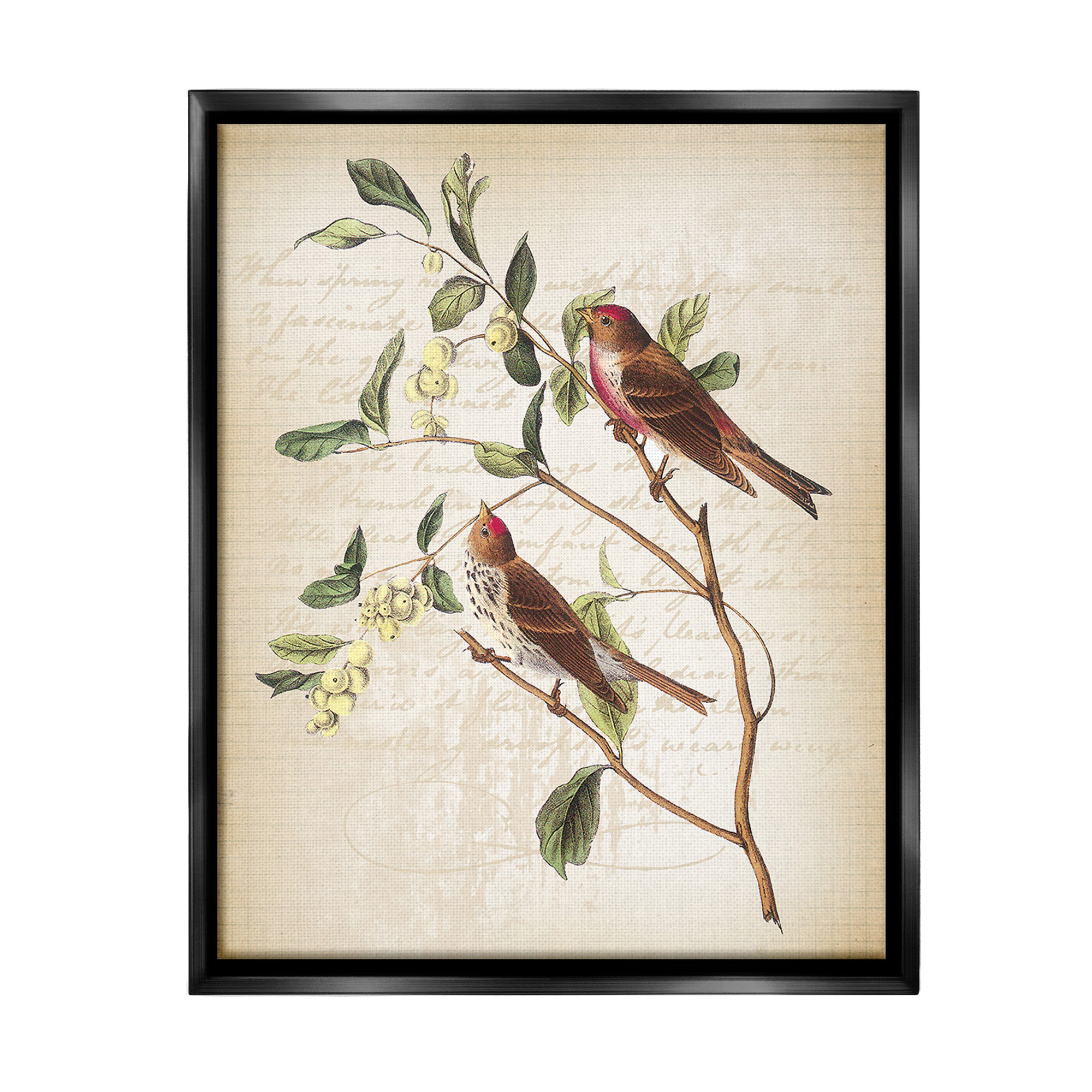 Winston Porter " Birds With Vintage Cursive " by Lula Bijoux & Co. on ...