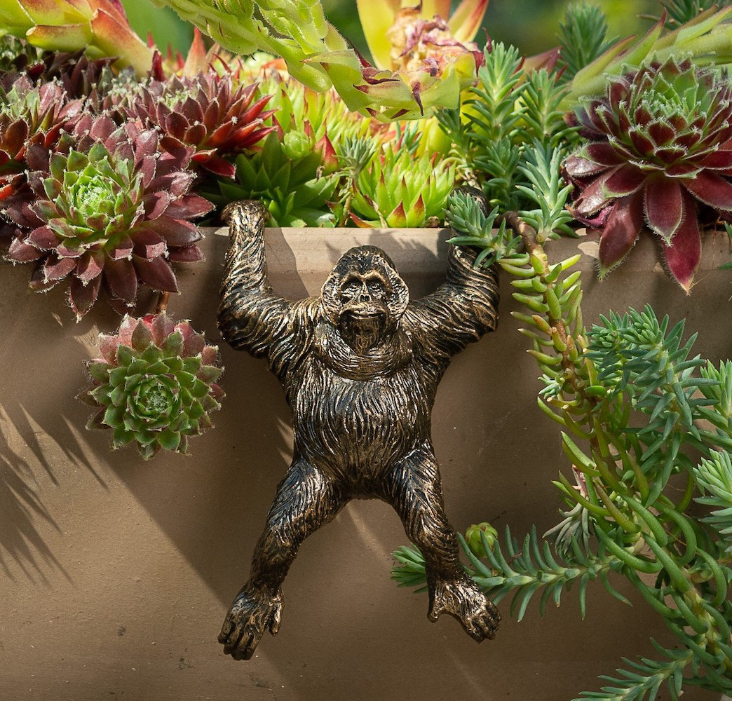 Jardinopia Orangutan Pot Buddy Pot Hanger In Gift Box | Wayfair