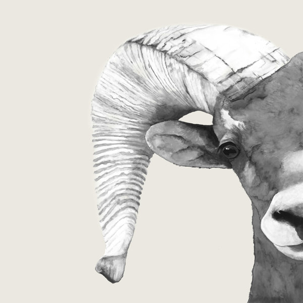 Gracie Oaks " Rambo " by Jodi Hatfiled | Wayfair