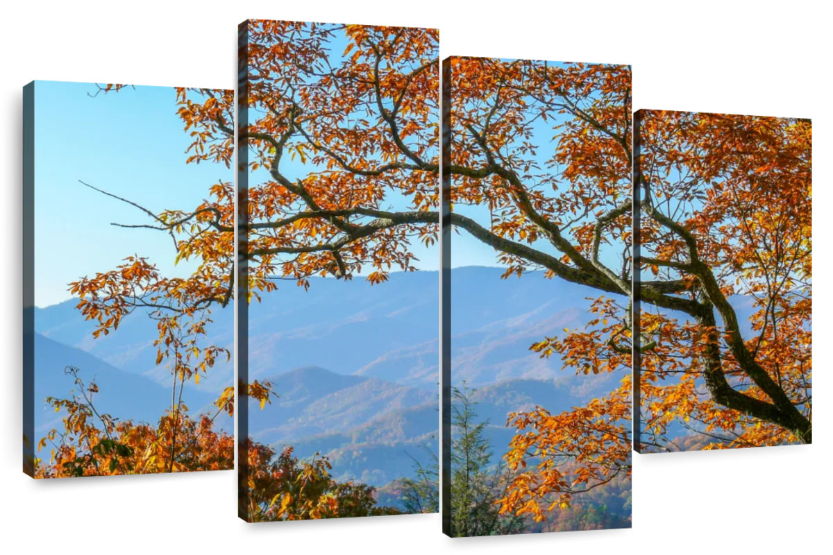 Millwood Pines Alvord Smoky Mountain Autumn Trees | Wayfair