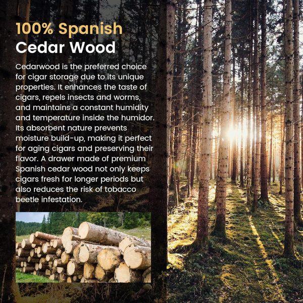 Needone Cigars Spanish Cedar Tray Drawer - Fits for 48L Capacity Cigar ...