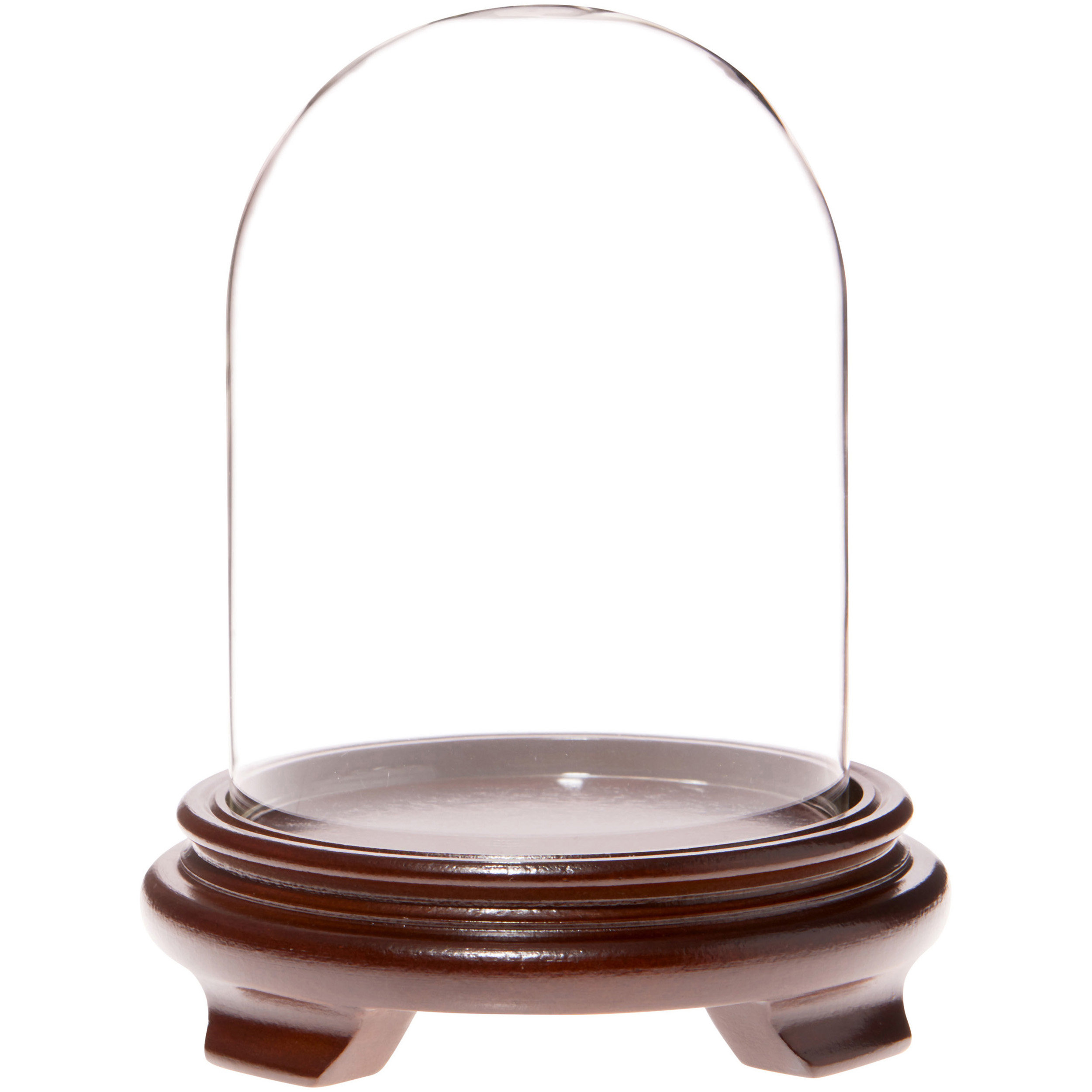 Red Barrel Studio® Keicha 4.5" x 6" Glass Display Dome Cloche | Wayfair