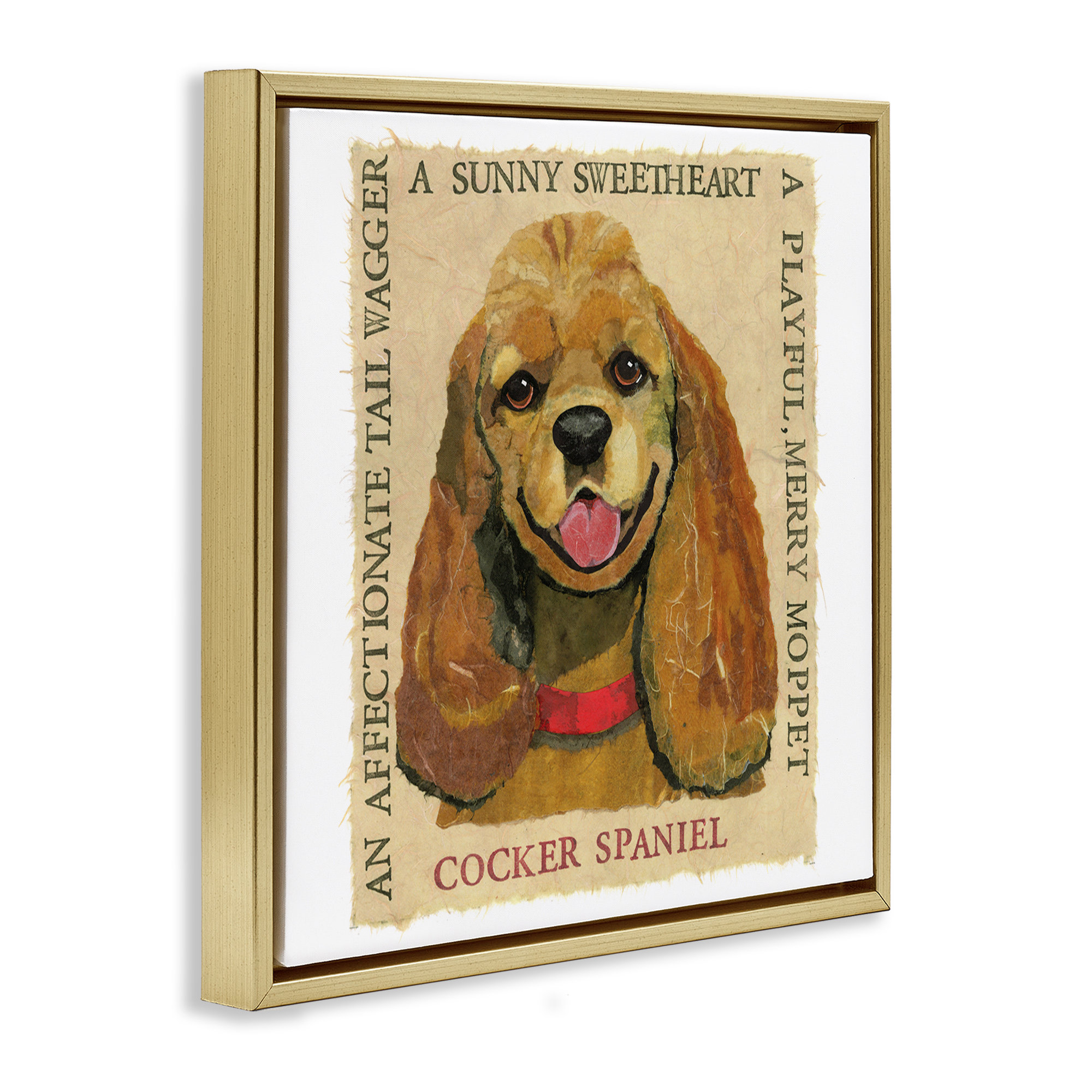 Latitude Run® Fun Cocker Spaniel Phrases Framed Floater Canvas Wall Art ...