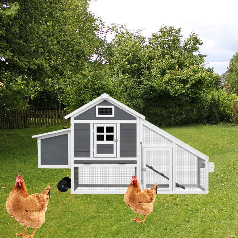 Tucker Murphy Pet™ Wooden Outdoor Chicken Hutch Coop With Running Cage ...