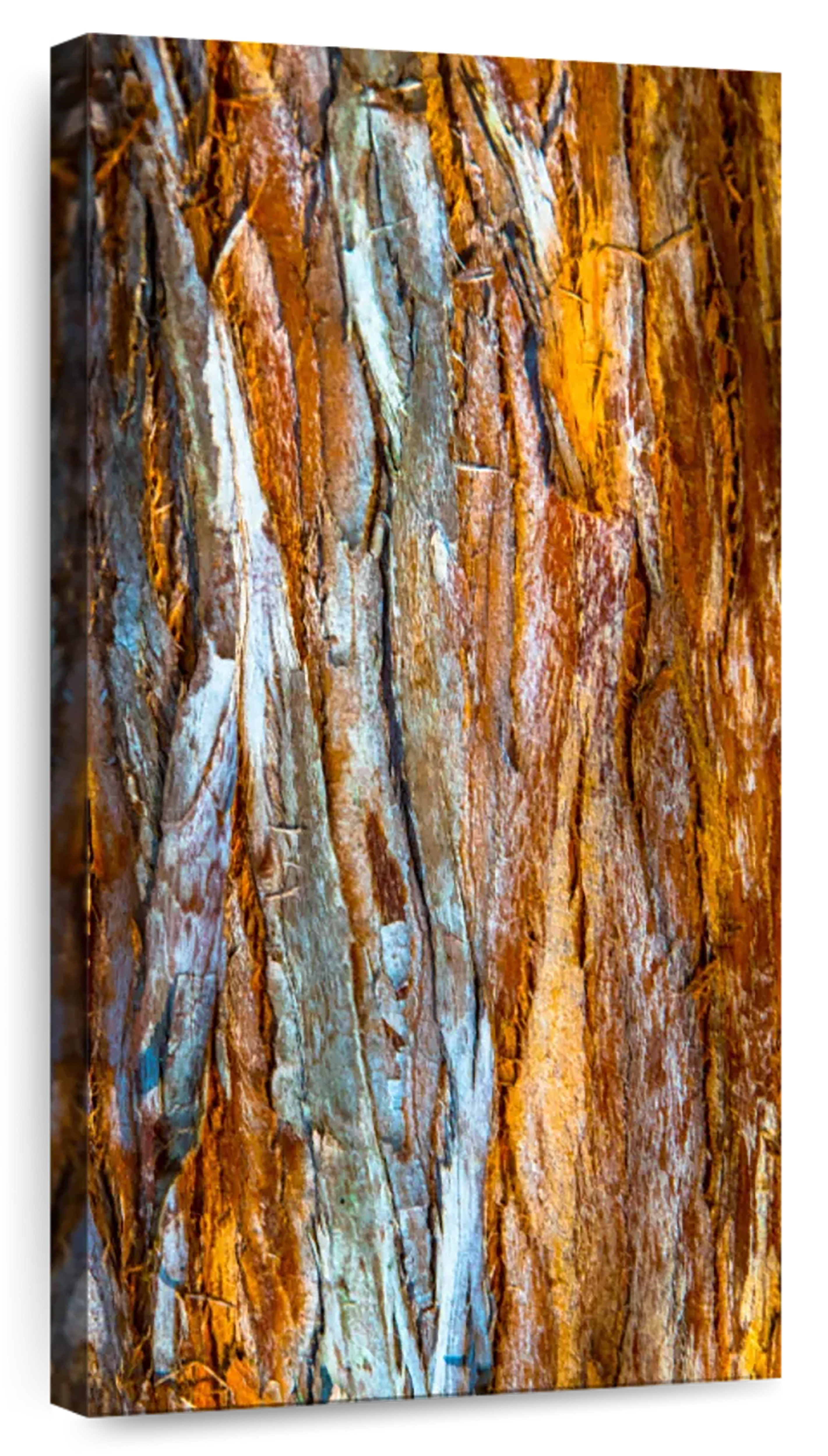 Winston Porter Tree Bark Abstract | Wayfair