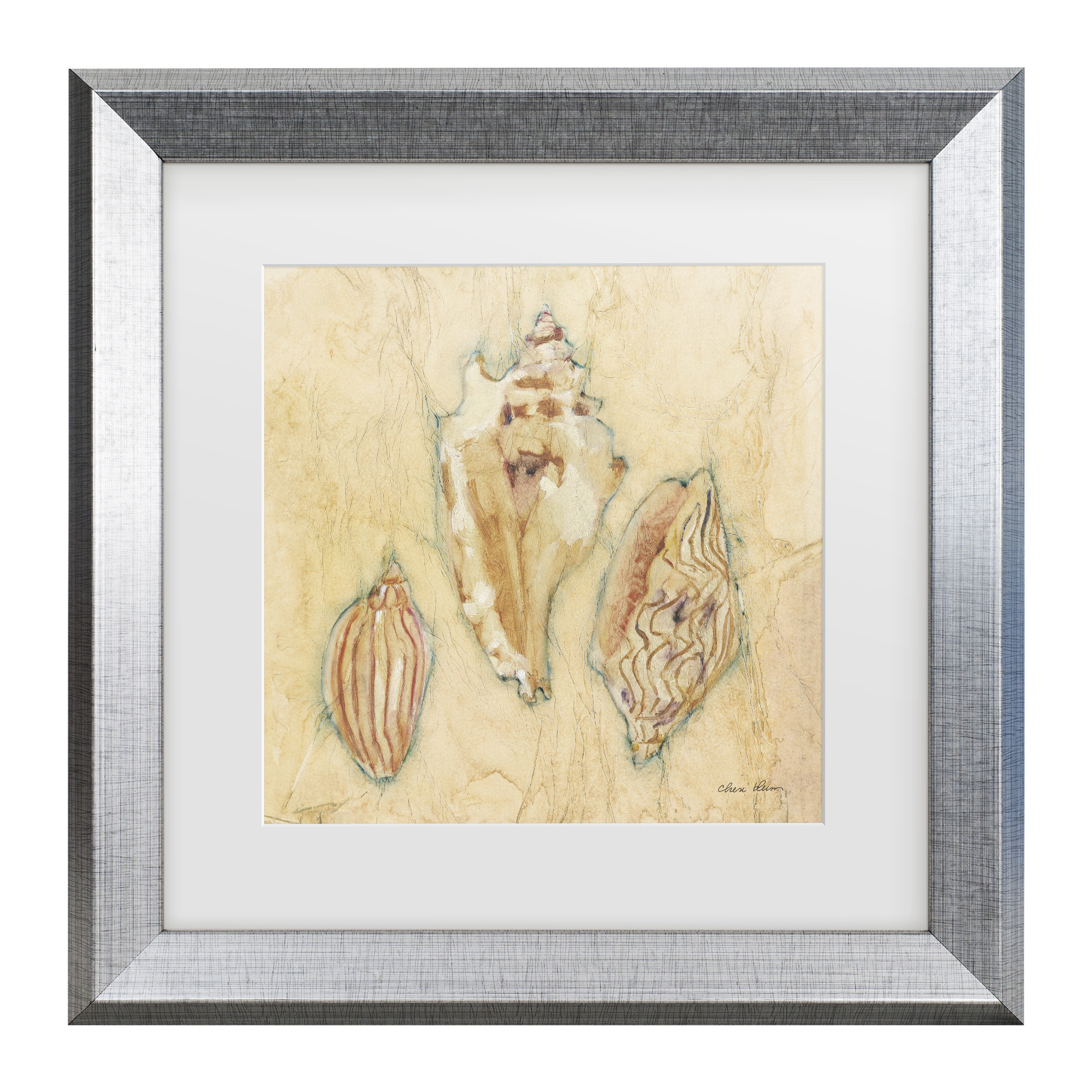 Highland Dunes Cheri Blum Shells I Matted Framed Art | Wayfair