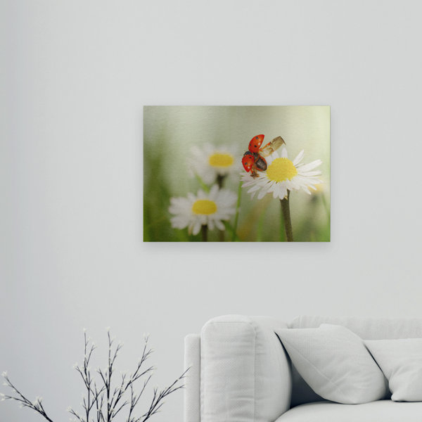 Latitude Run® Envole Moi by Fabien Bravin | Wayfair