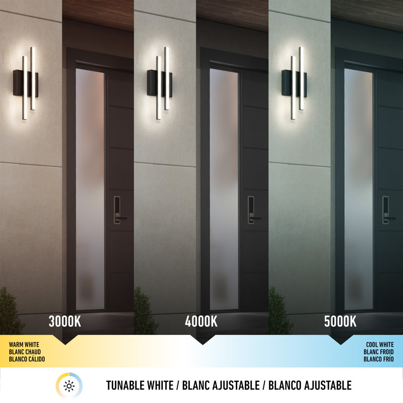 Wrought Studio™ Darvon Steel LED Wall Light & Reviews | Wayfair