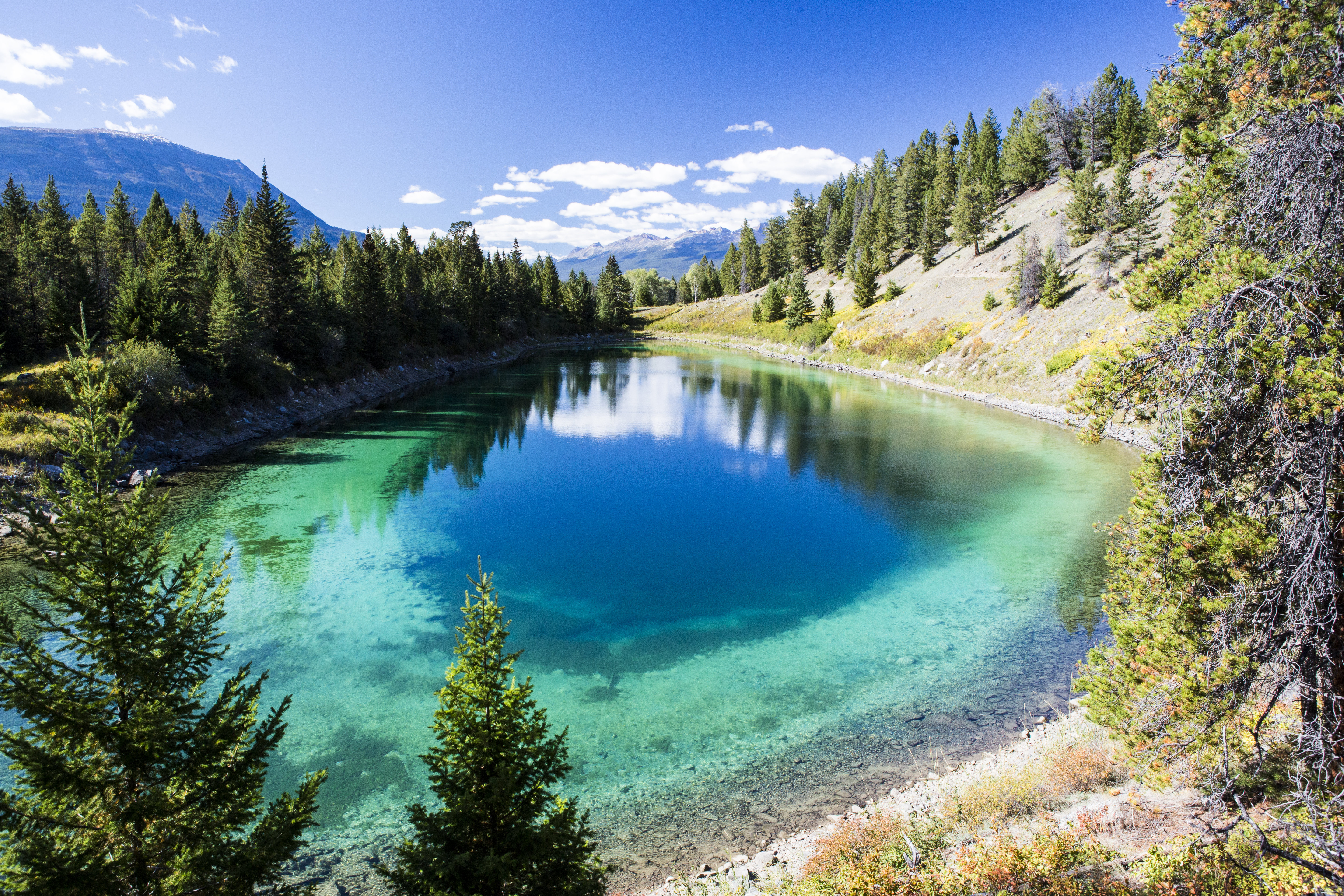 Millwood Pines Amondo Third Lake, Valley Of The Five Lakes, Jasper ...