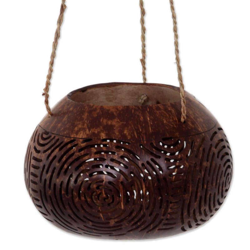 Dakota Fields Meissner Coconut Shell Wall Organizer with Key Hooks ...