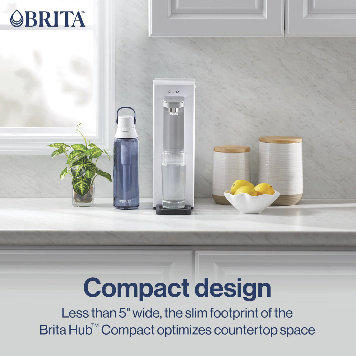 Brita Hub™ Compact Countertop Water Filtration Device & Reviews | Wayfair