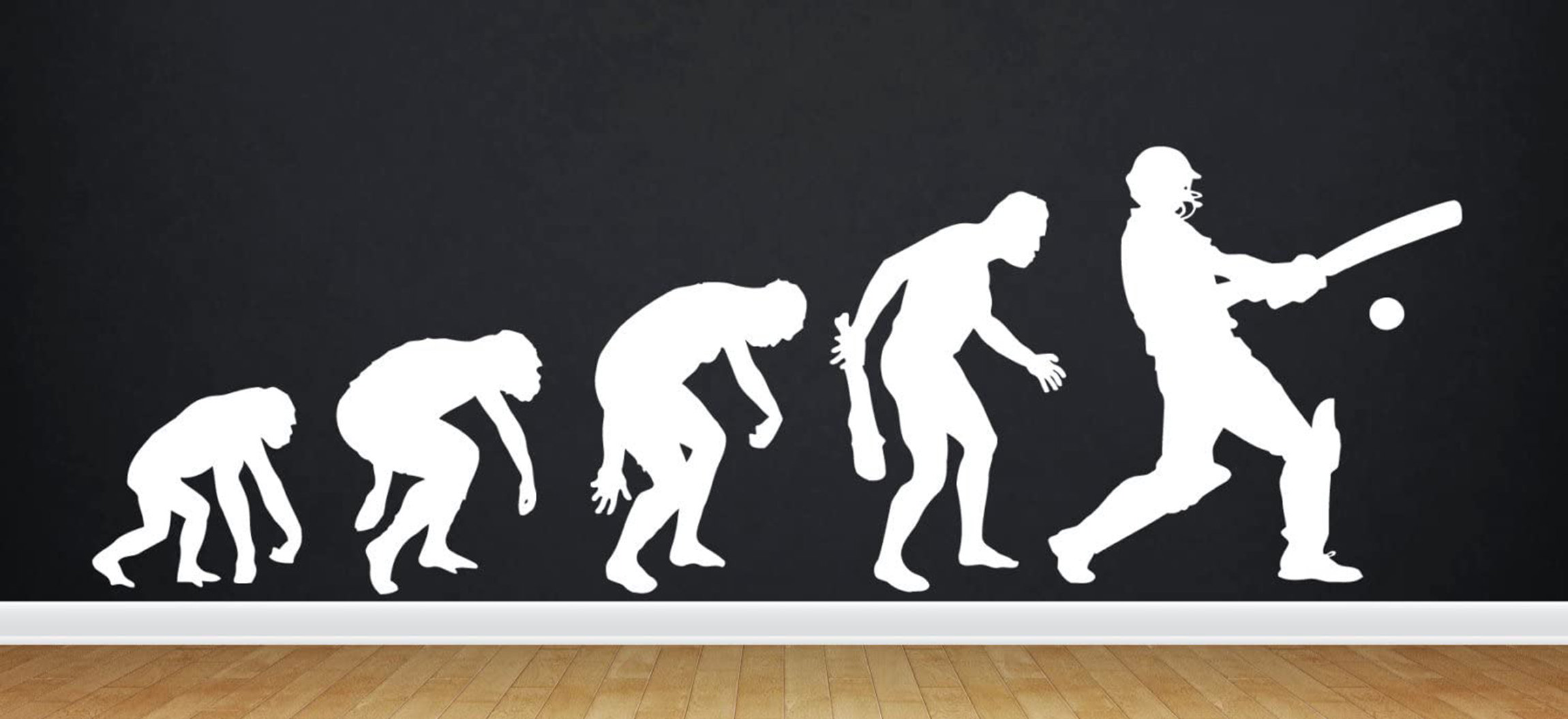 Ebern Designs Cricket Evolution Wall Decal | Wayfair