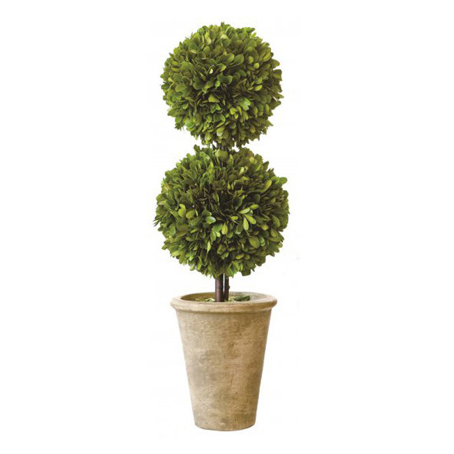 Birch Lane™ Harper Preserved Boxwood Double Ball Topiary & Reviews ...
