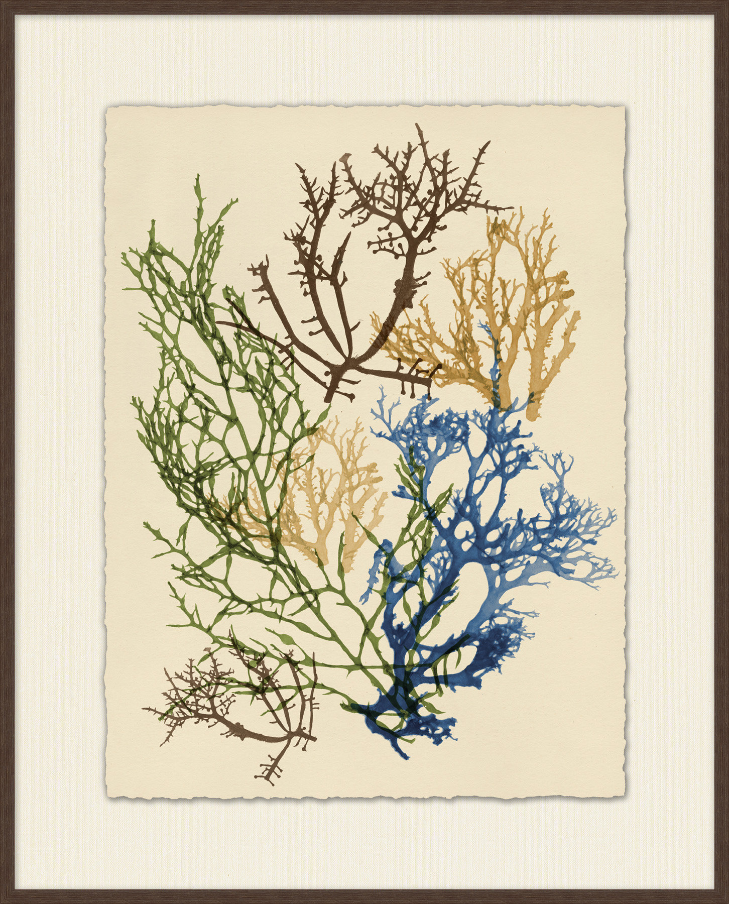 Wendover Art Group Colorful Sea Kelp 1 - Picture Frame Painting on ...