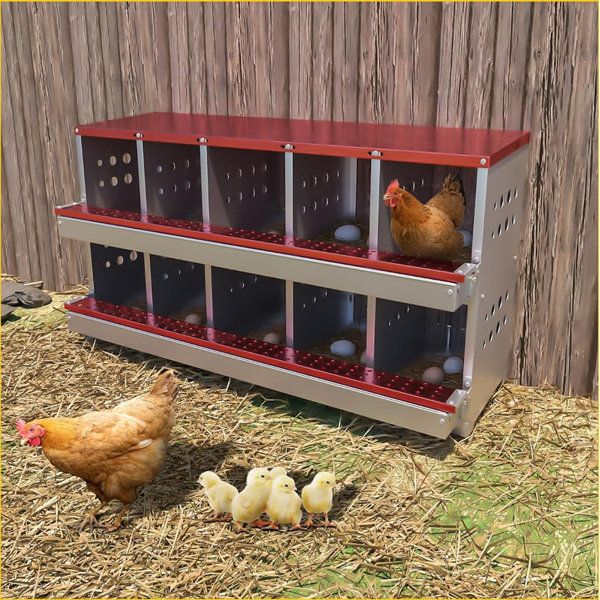 Tucker Murphy Pet™ Metal Chicken Nesting Box for Laying Eggs, Rustproof ...
