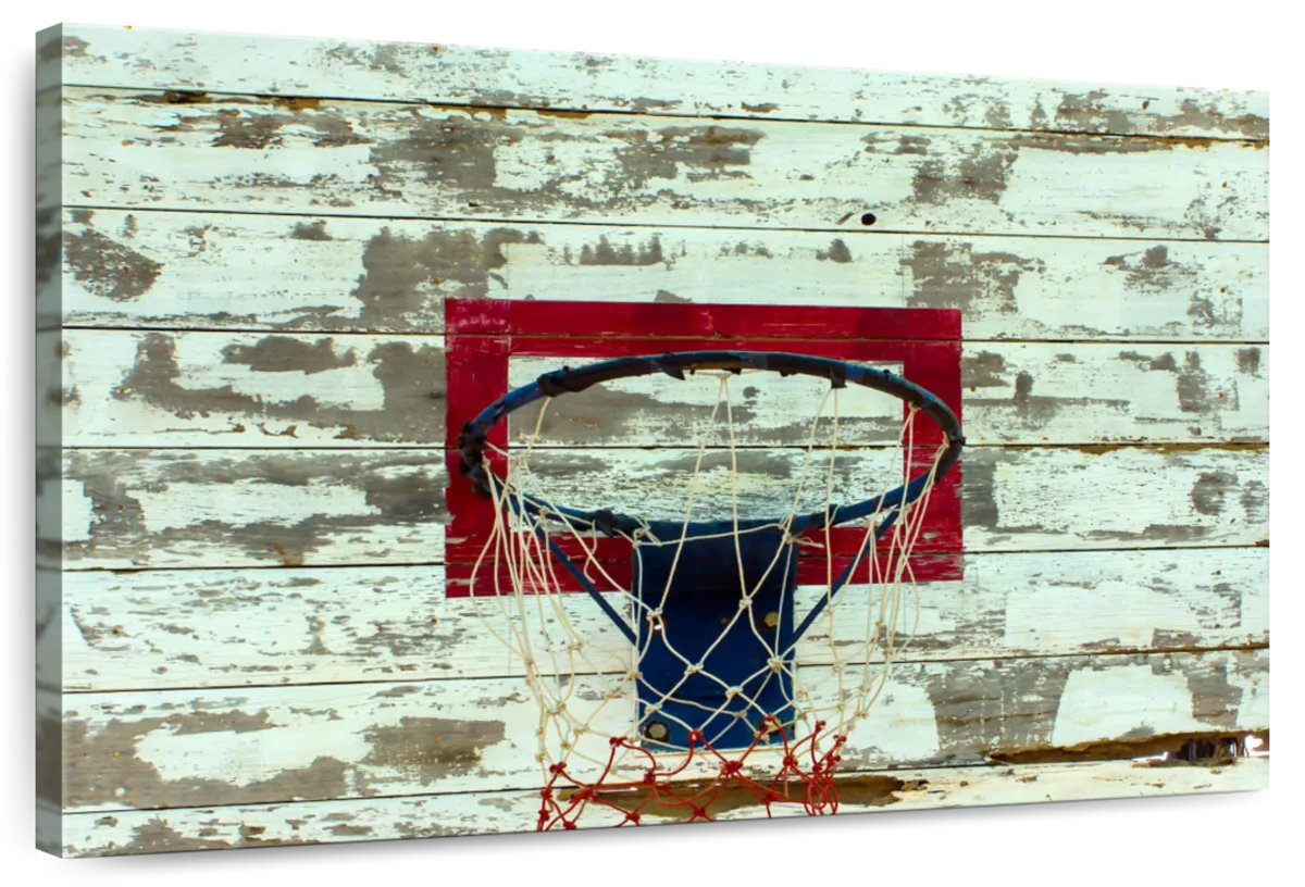 Elephant Stock Vintage Basketball Hoop | Wayfair